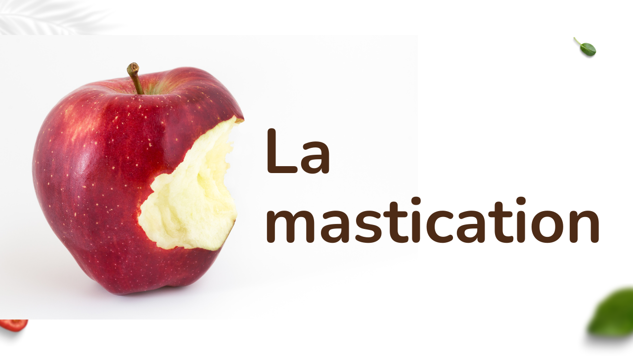 La mastication - Centre de Cure Agapé